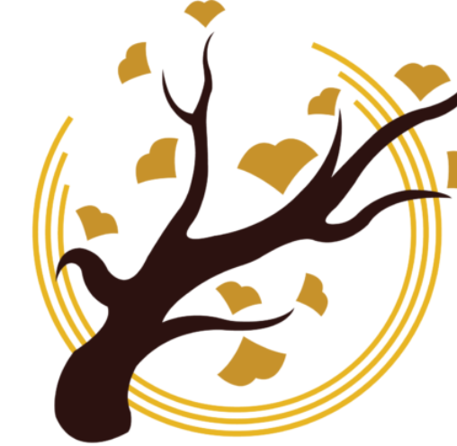 Candy Spa - 123 Baxter Street, New York, NY, USA